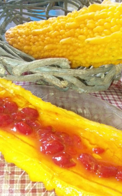 The Very Bitter Gourd ‘Goya’ Ripens into a Sweet Treat! | SoraNews24 ...