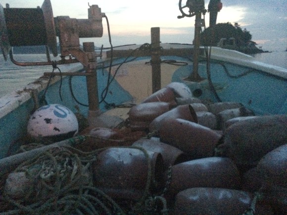 We go octopus hunting, learn how to turn octopus heads inside-out ...