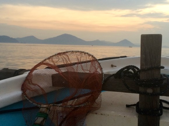 We go octopus hunting, learn how to turn octopus heads inside-out ...