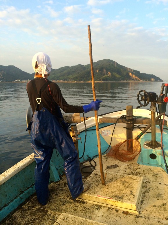 We go octopus hunting, learn how to turn octopus heads inside-out ...