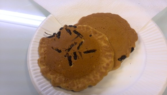 Japanese wasp-filled crackers: Their sting is far worse than a bite ...