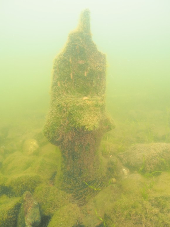 First, possibly most ironic, underwater ruins discovered in Japan’s ...