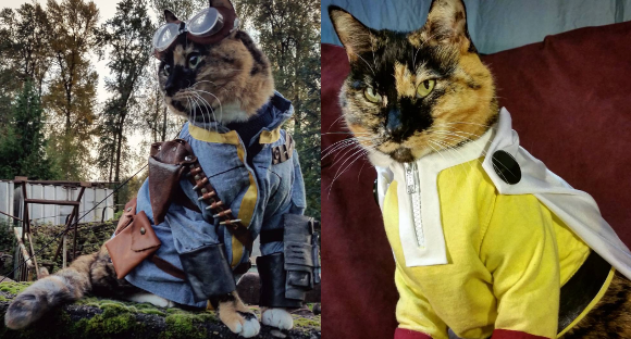 Cosplaying cat duo charm the world with their outfits and their ...