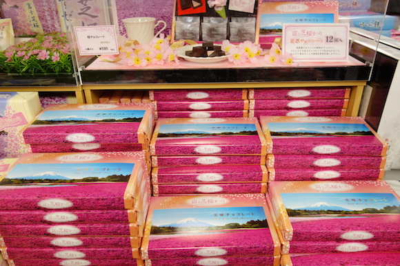 14 tips for visiting the Mt Fuji Shibazakura Festival, where beautiful ...