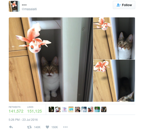 Cat blows everyone’s minds by looking at goldfish character in Pokémon ...