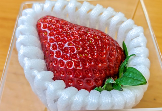 What it’s like to eat a super expensive Japanese strawberry【Taste Test ...